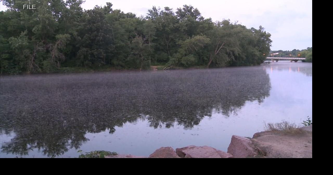 Officials ask people not to disturb mayflies | Wisconsin News | waow.com