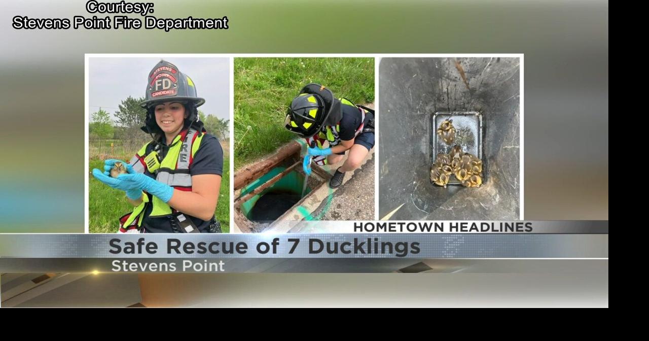 Stevens Point Fire Department rescues seven ducklings | Video | waow.com