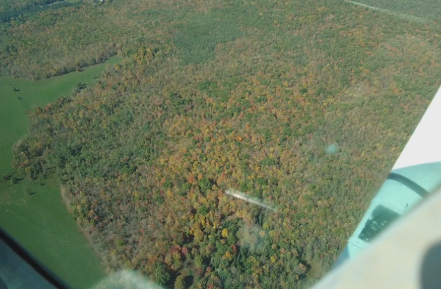 Fall foliage flights take to the sky at Wausau Downtown Airport | Top ...