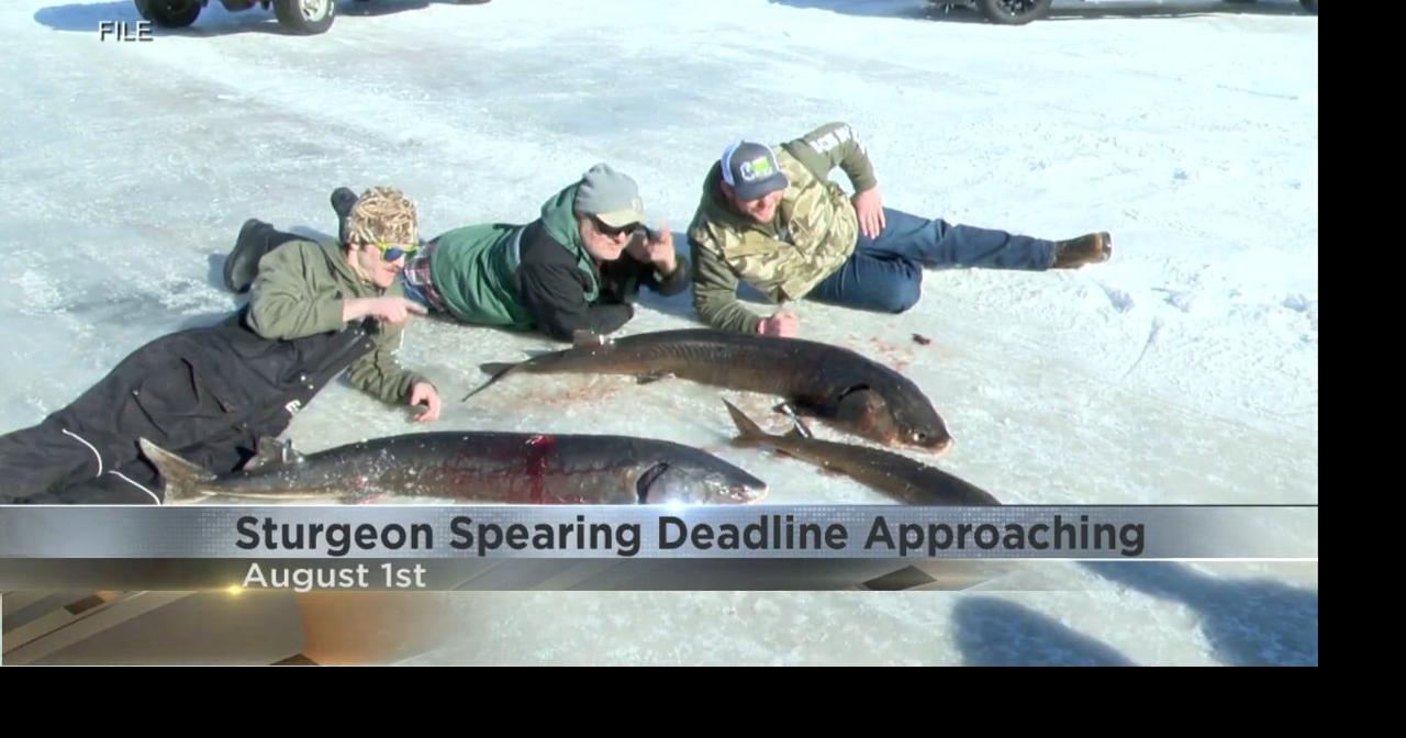 Sturgeon spearing app deadline approaches | Video | waow.com