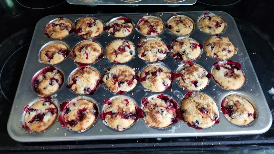 Garden Goodies 2024 Black Currants and alternative sweeteners | News ...