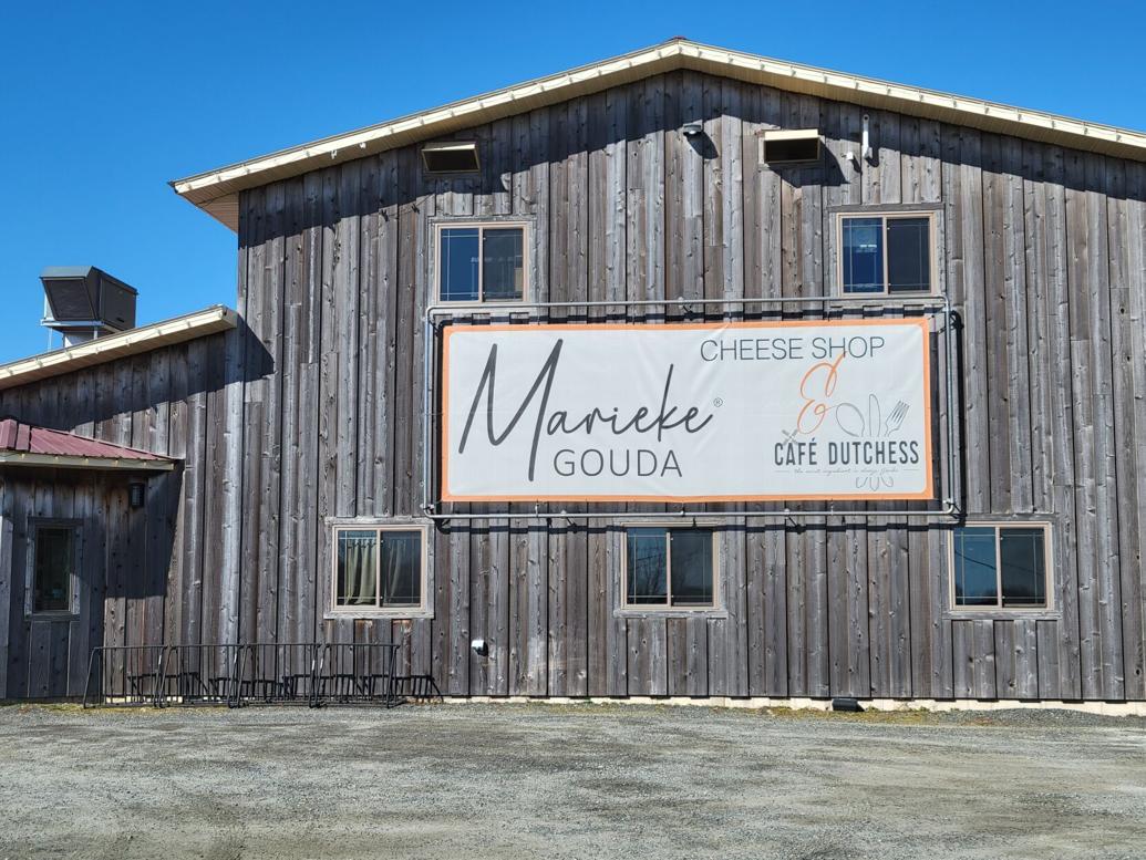 Thorp's Marieke Gouda takes three "Best in Class" awards at world ...