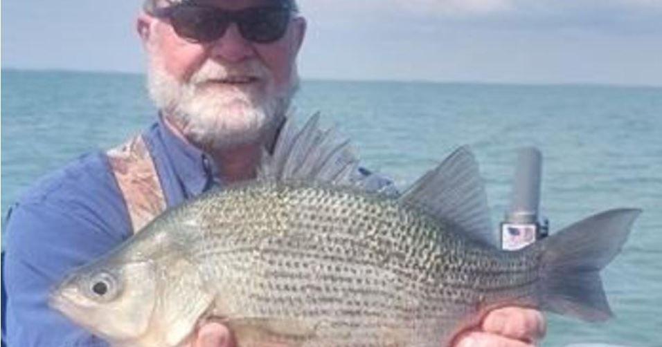 Man catches "monstrous" record-breaking white perch in Michigan ...