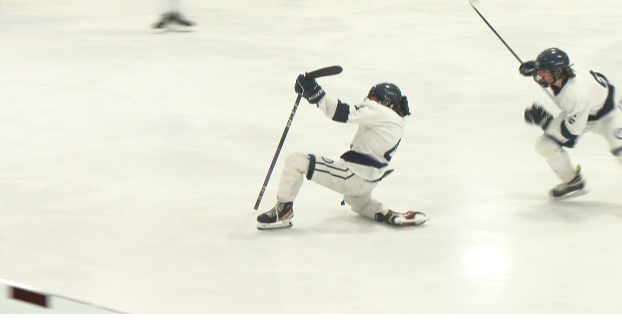 Two local teams reach state hockey tournaments with Tomahawk boys, CW Storm on girls' side ...