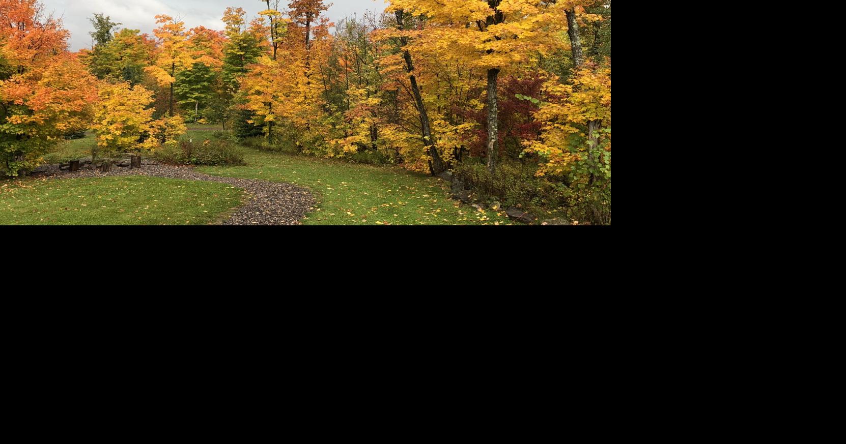 Cloudier but mild ahead | Forecast Central | waow.com