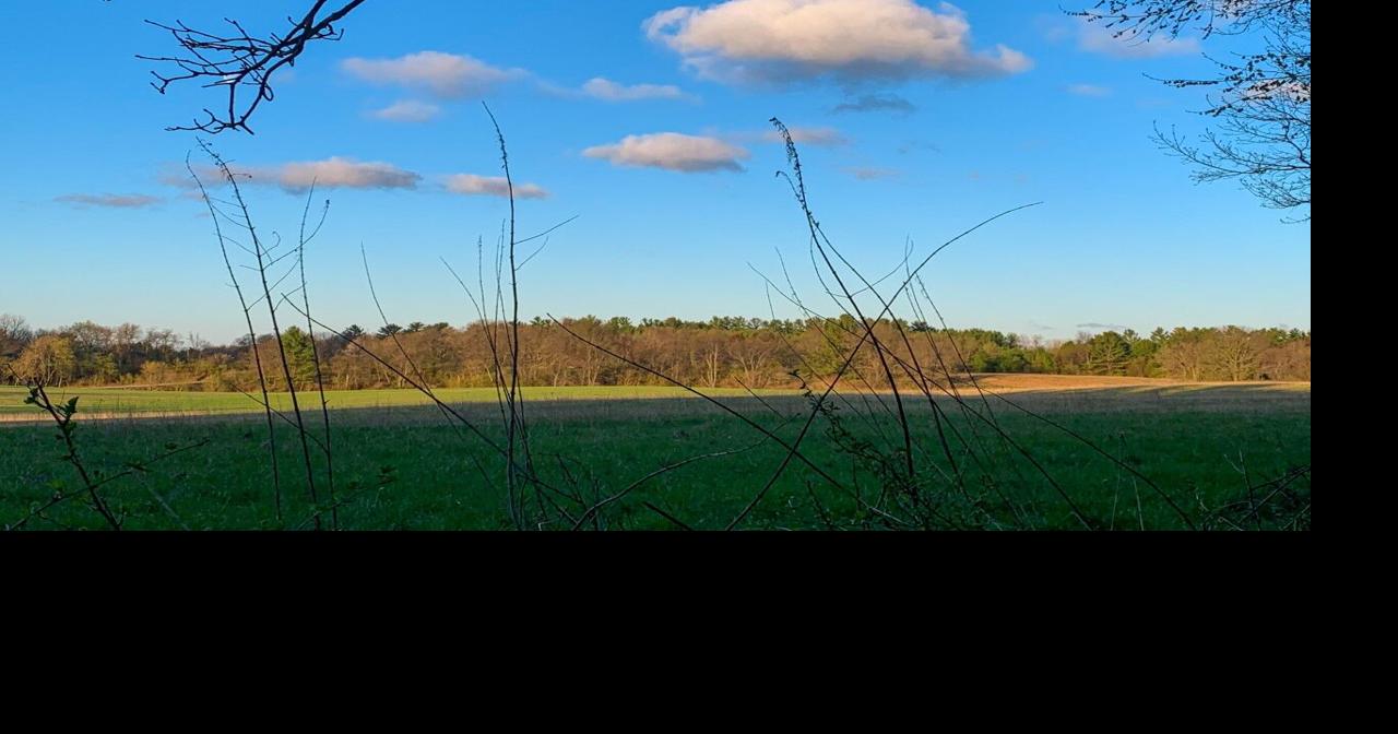Dry and cool weather for most of the week | Weather | waow.com