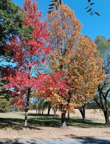 Top Ten Weather Events of 2025: 6 Through 4 | Weather | waow.com