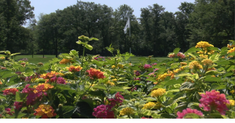 Mark Rolfing visits SentryWorld Golf Course ahead of U.S. Senior Open ...