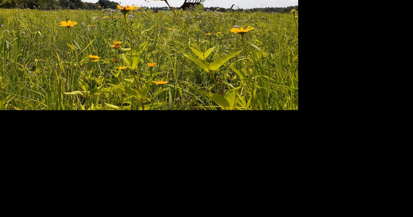 Megadrought definition | Weather | waow.com