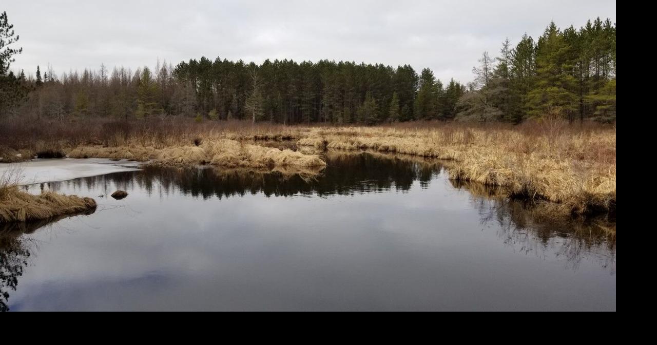 Cloudier, cooler and a chance of rain ahead | Forecast Central | waow.com