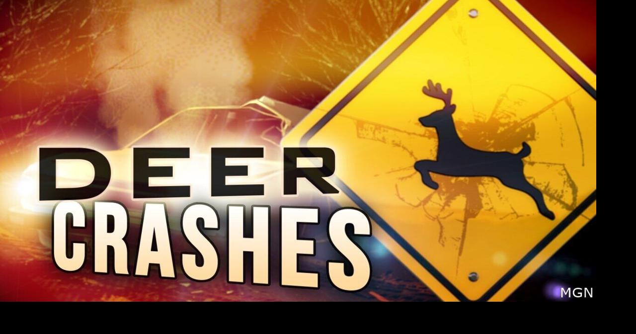 Fall is peak time of year for deer crashes in Wisconsin | News | waow.com
