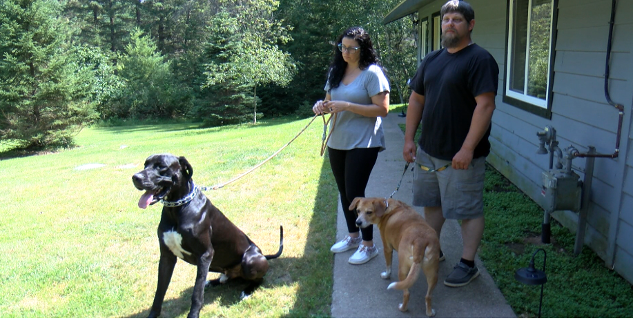 Family grieving loss of dog after wolf attack | News | waow.com