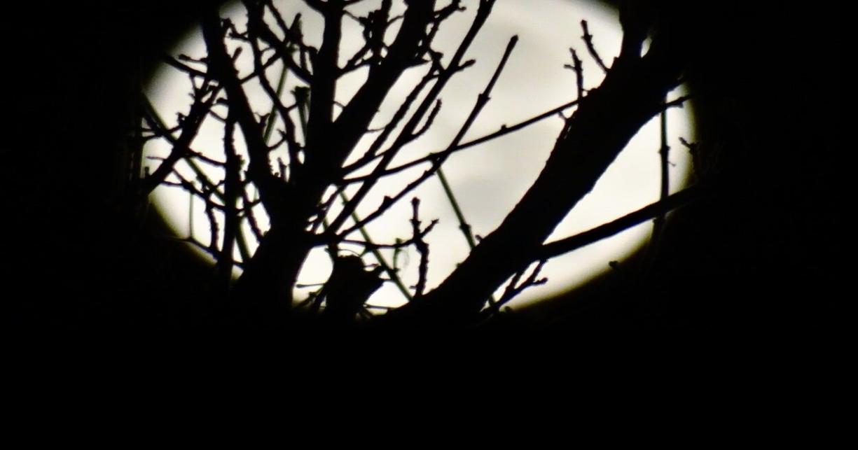 Warm and Windy Halloween | Weather | waow.com