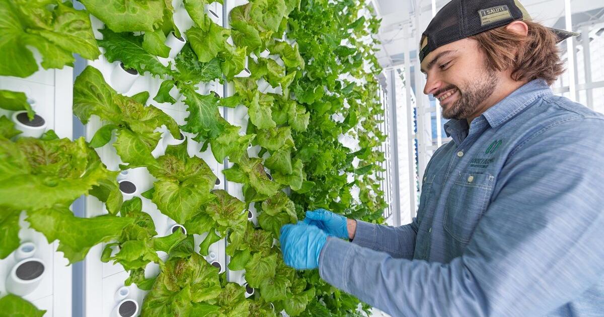 Wisconsin PureGrow Project officially launches at UWSP at Marshfield ...