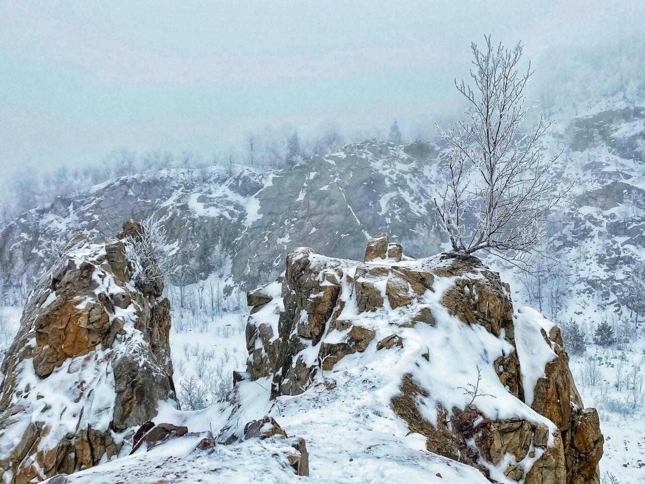 Winter Wonderland: Hoar Frost vs Rime Ice | Weather Blog | waow.com