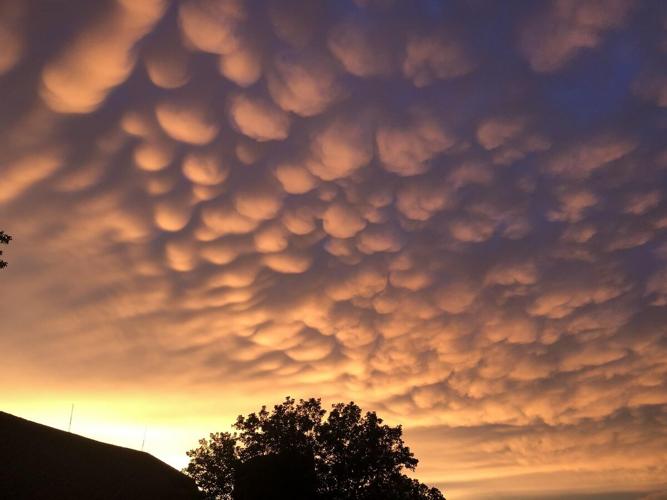 kumulus mamatus