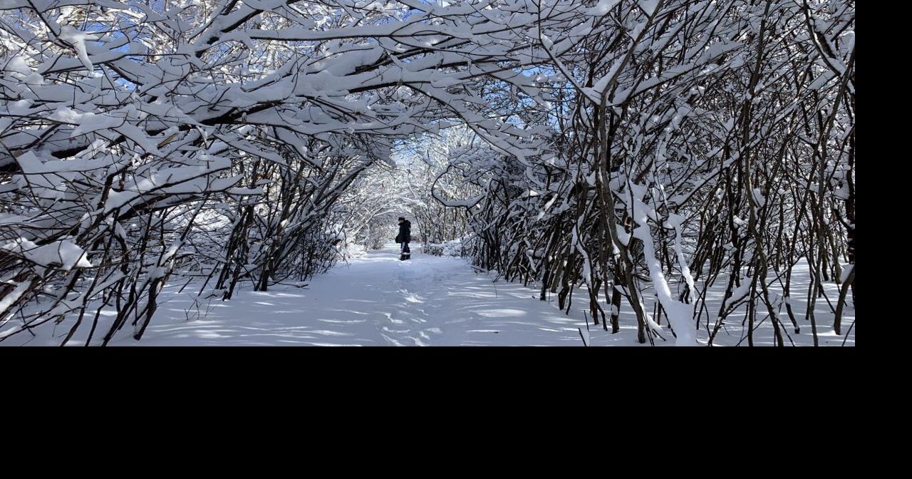 Winter is not over yet | Weather | waow.com