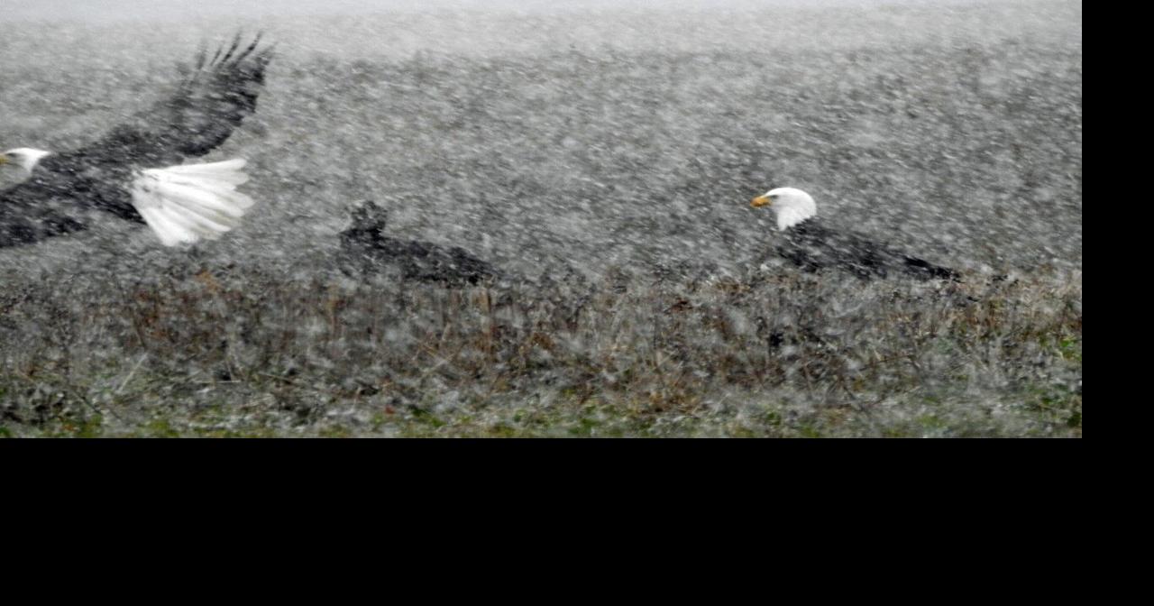Breezy Friday winds may bring flakes and flurries | Forecast Central ...