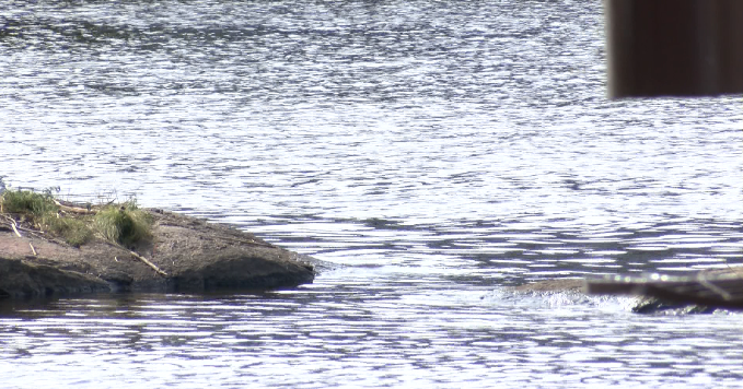 DNR has a new Water Testing Tool to find out what is in the water ...