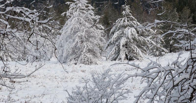 Light flakes before bone chilling cold | Forecast Central | waow.com