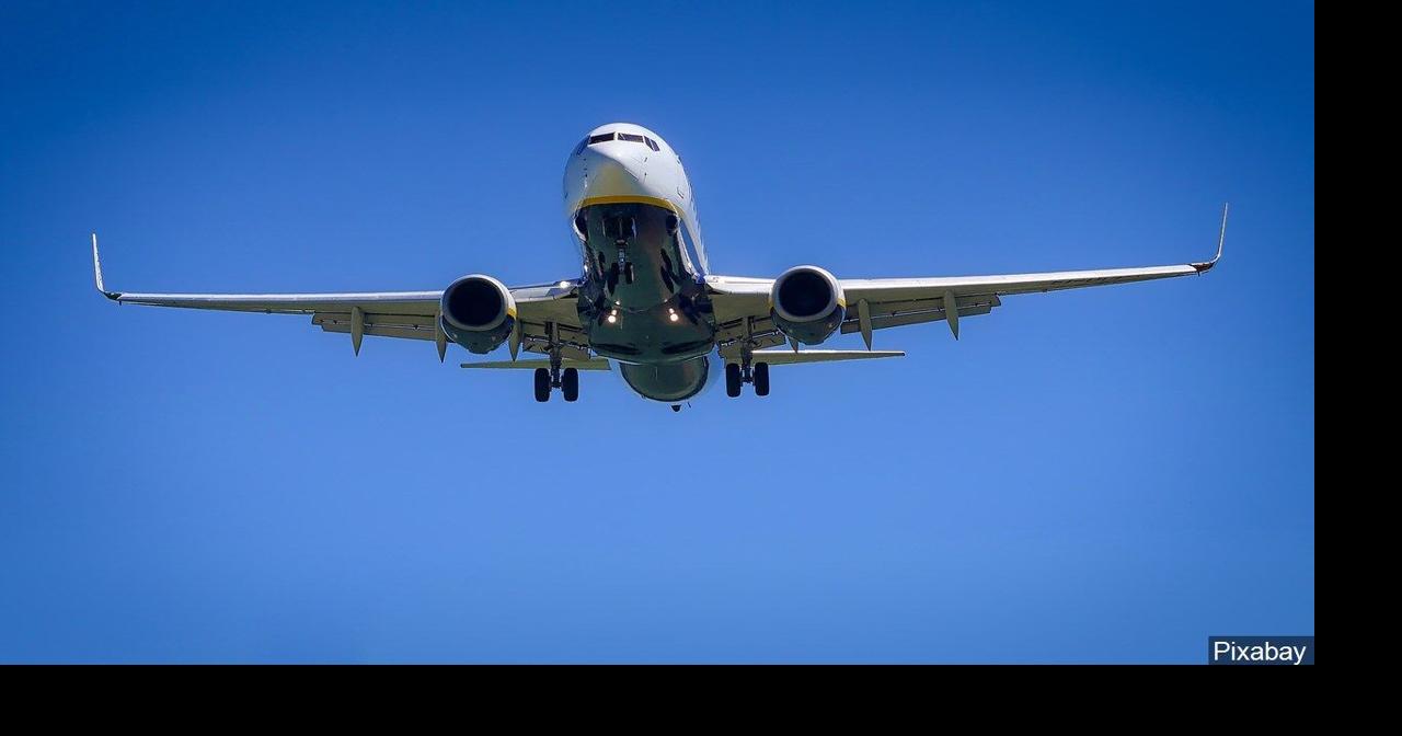 US tightens definition of service animals allowed on planes | Archive ...