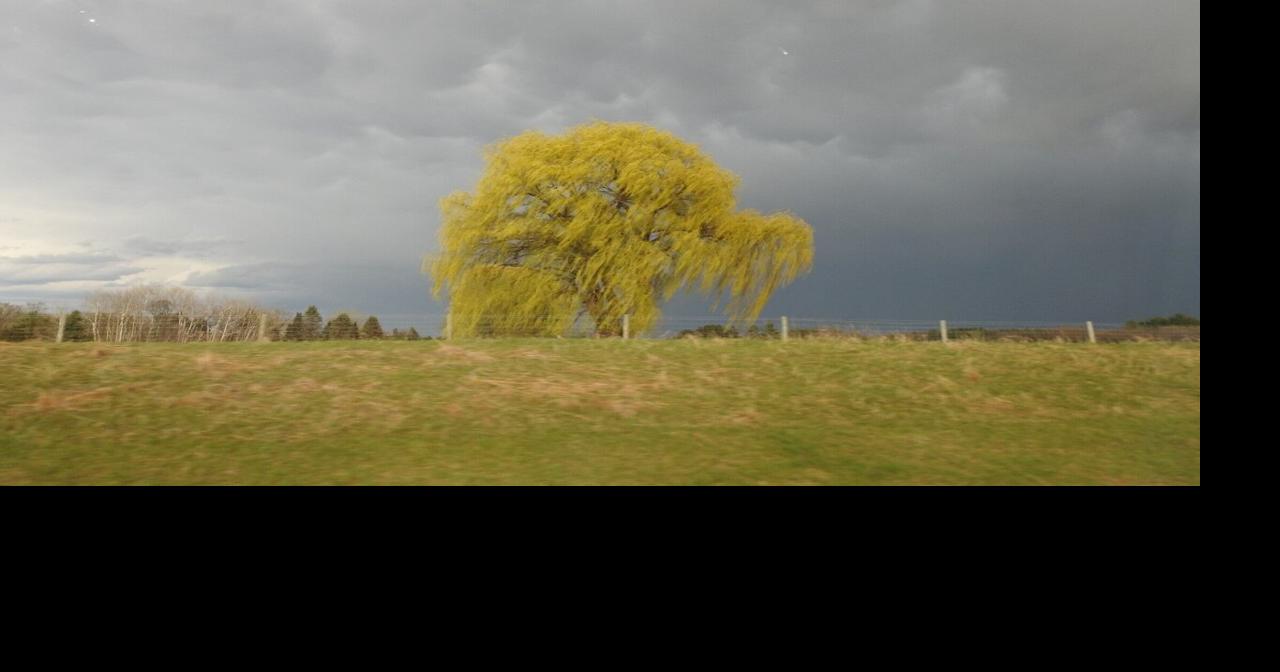 More clouds and a few showers for mid-week | Weather | waow.com