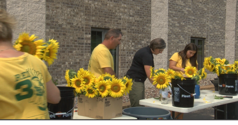 REI Engineering, Inc. Sunflower Field open to public | News | waow.com