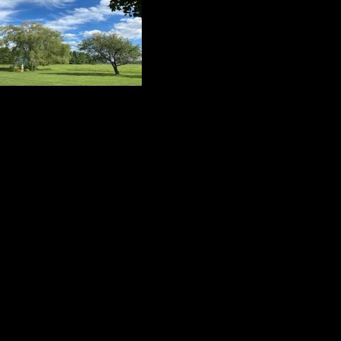 Nice weather for most of the week | Weather | waow.com