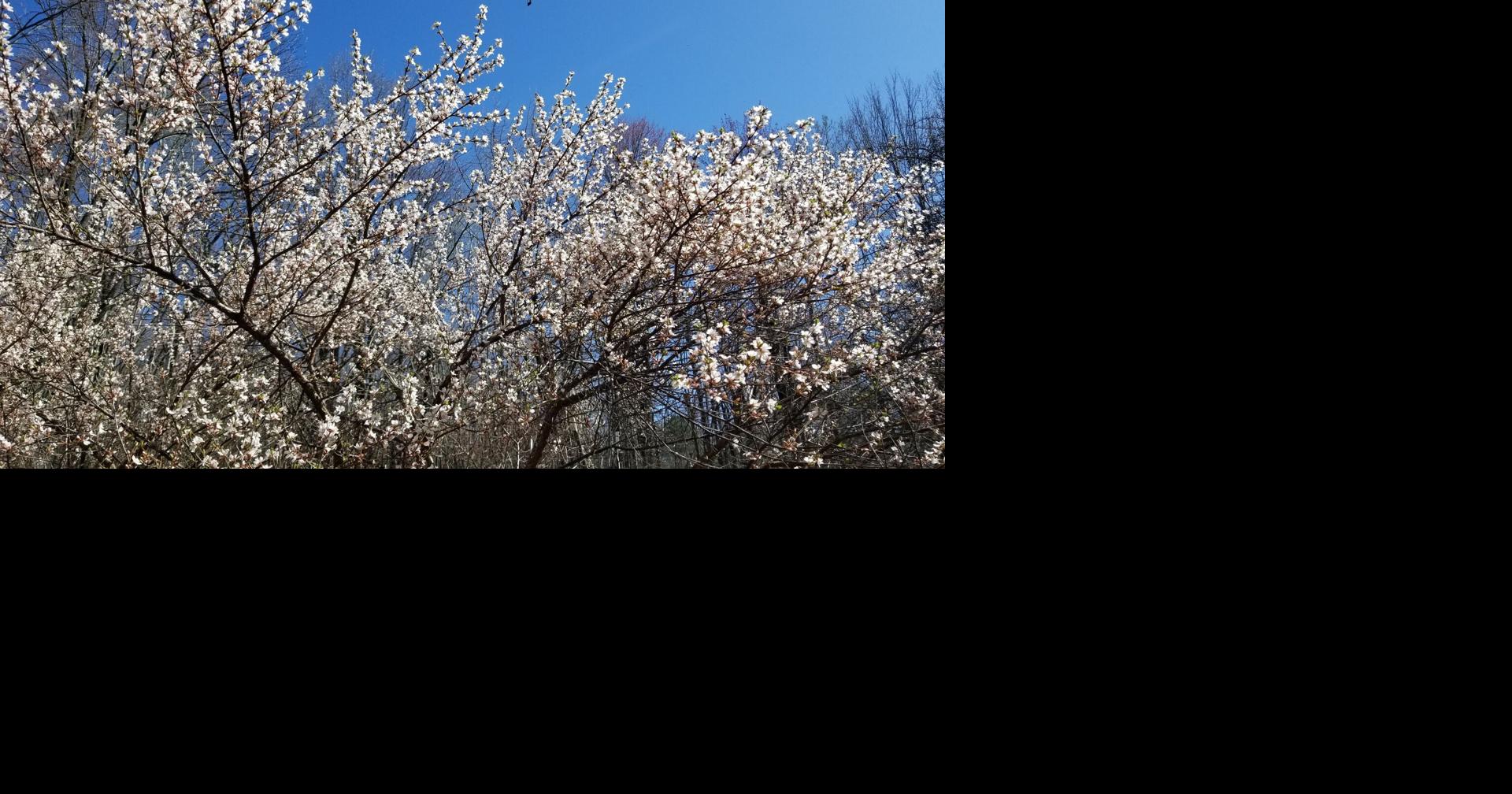 Warm today with thunderstorms this evening | Weather | waow.com