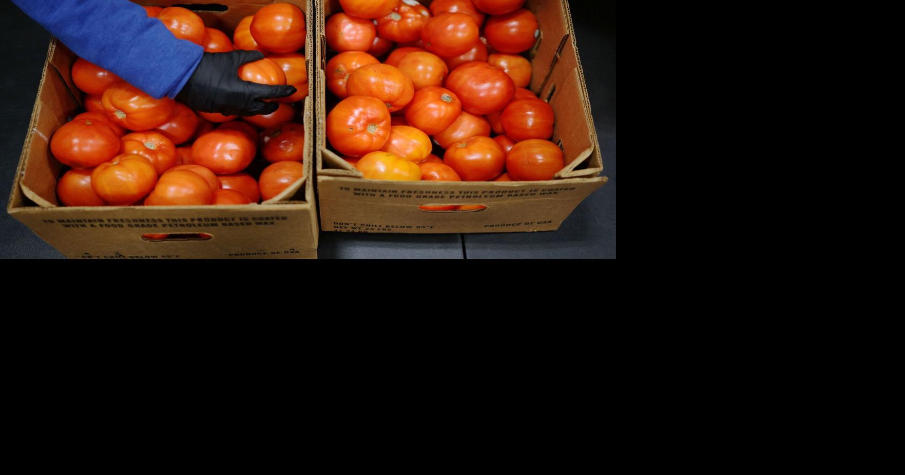 Uncertainty persists for SNAP recipients, federal workers as shutdown ...