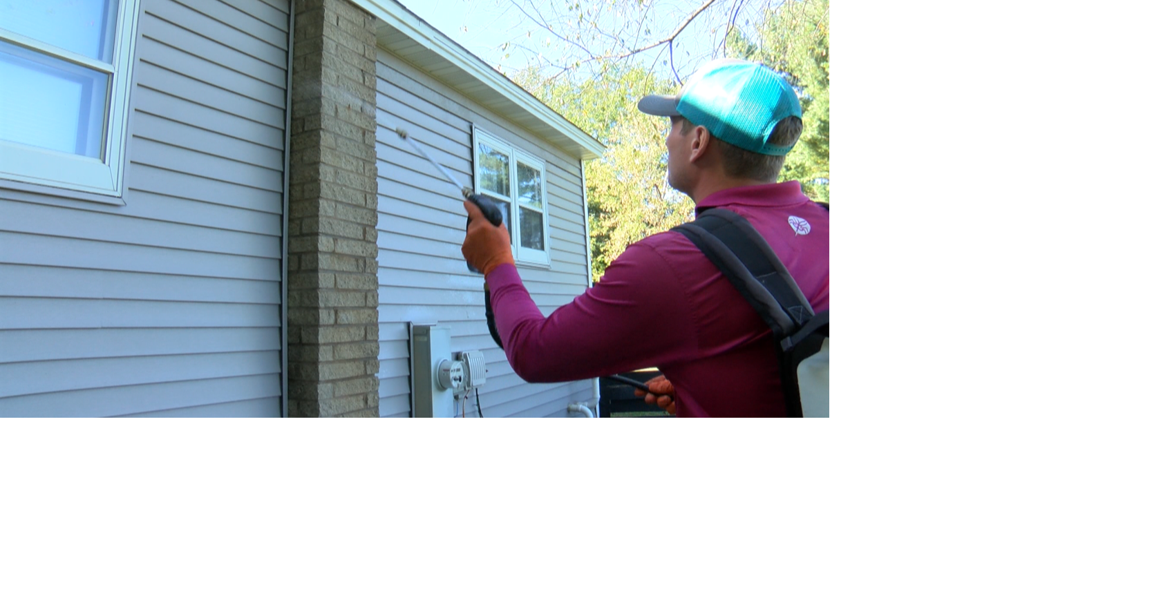 Local pest professional offers tips for protection against fall ...