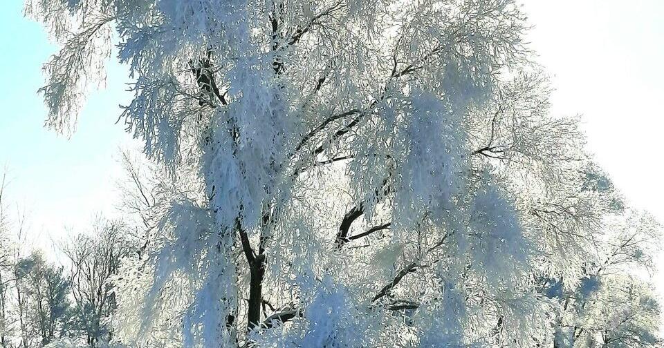 February and Winter Summary | Meteorology | waow.com
