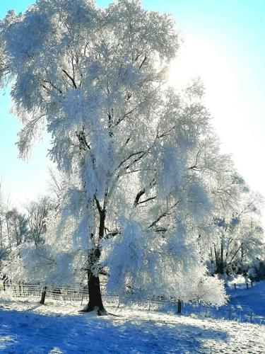 February and Winter Summary | Meteorology | waow.com