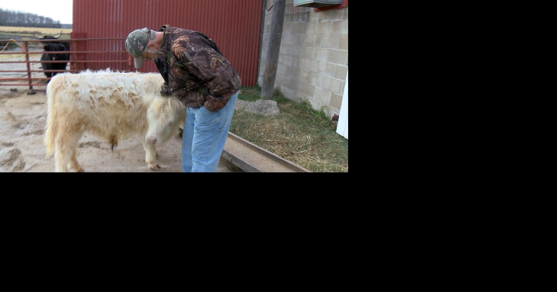 Couple builds quiet farm haven for veterans | News | waow.com