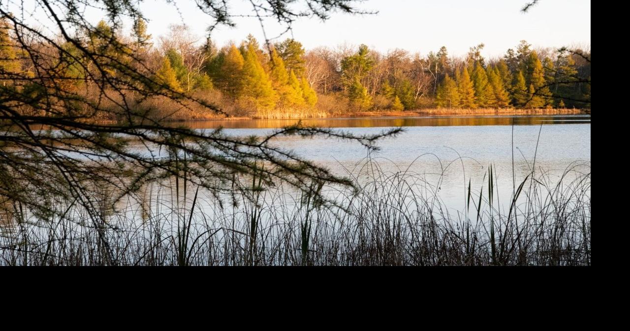 Typical November weather for a couple of days | Weather | waow.com