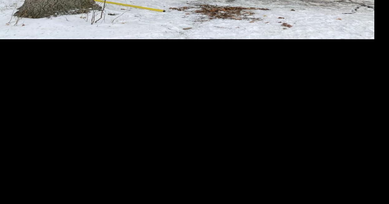 Fire destroys home near Merrill | News | waow.com