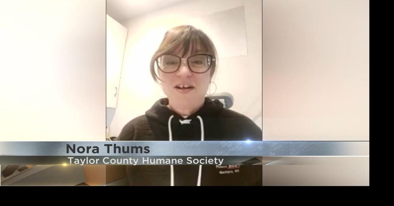 Inaugural Turkey Trot in Medford to benefit Taylor County Humane ...