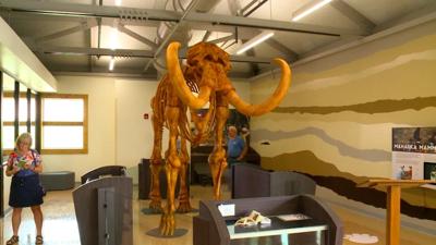 Out of the Ice Age: Replica woolly mammoth on display in Iowa | Zoology ...