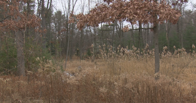 Stevens Point; welcome John S. Groholski Memorial park | News | waow.com