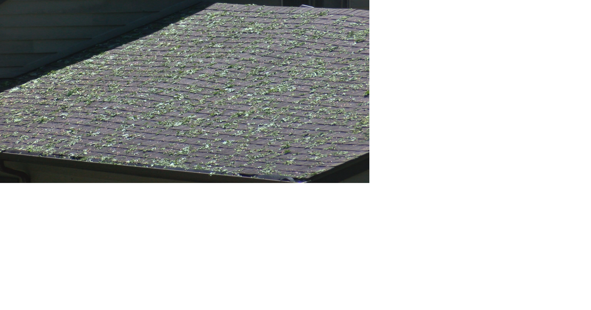 Hailstorm leaves damage across Central Wisconsin | News | waow.com