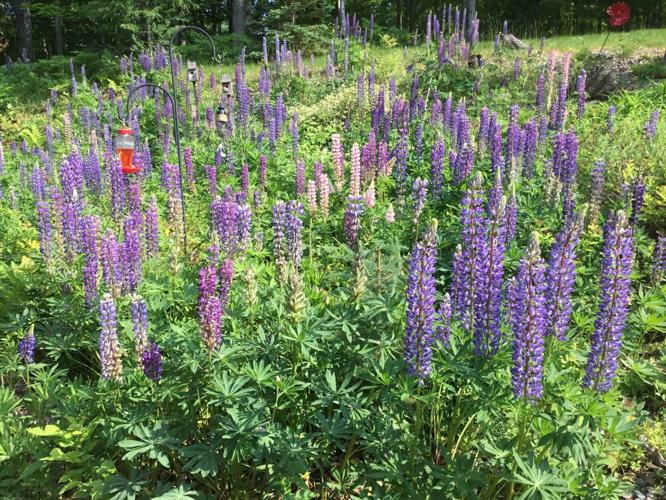 2023: By The Numbers | Weather | waow.com