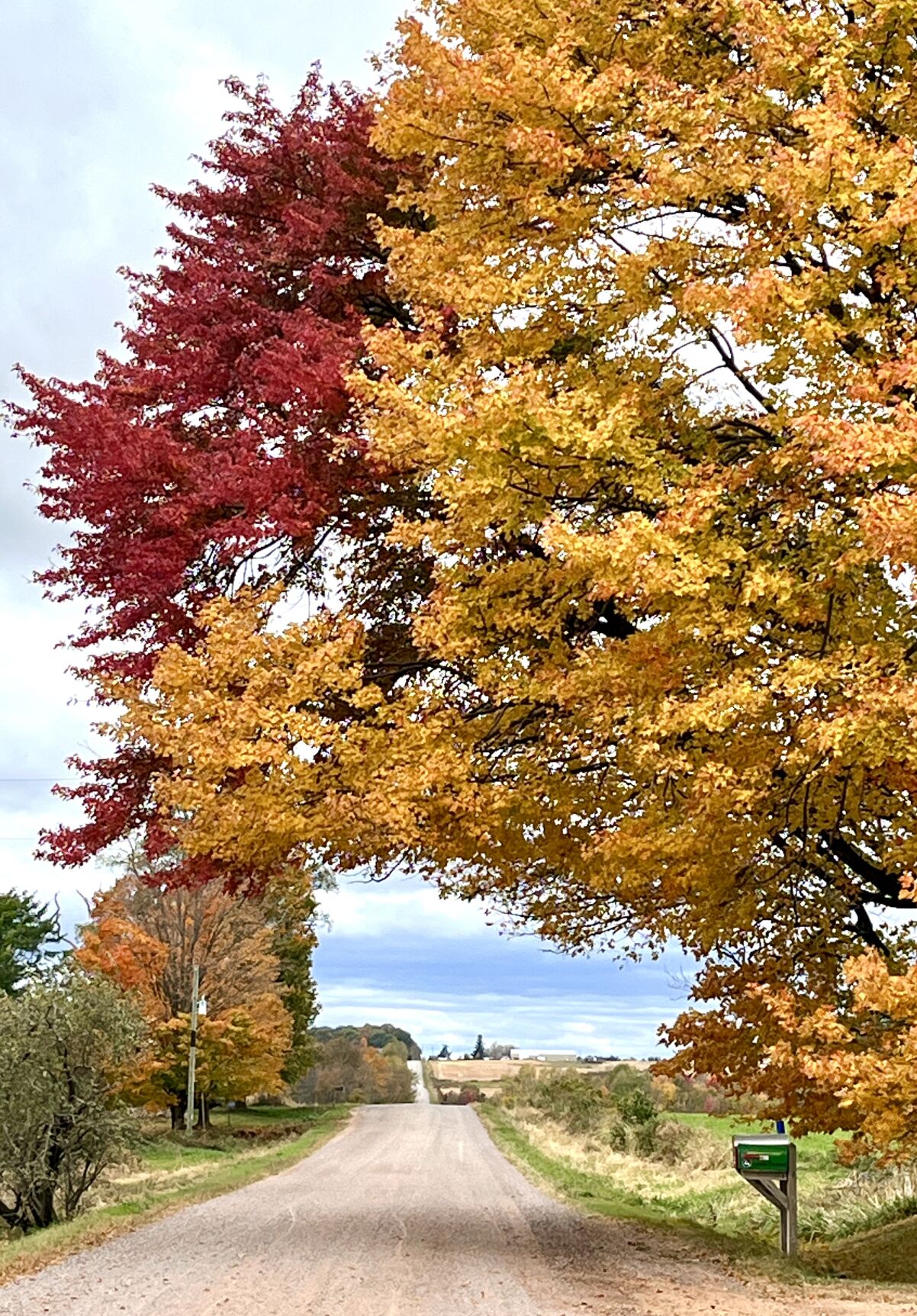 Above normal temperatures will continue for a while | Weather | waow.com