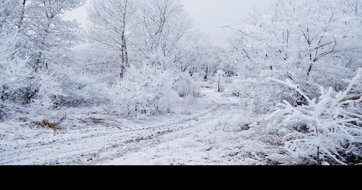 A moderate snowfall is on the way | Weather | waow.com