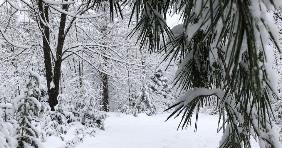 2019 snowfall records | Weather Blog | waow.com