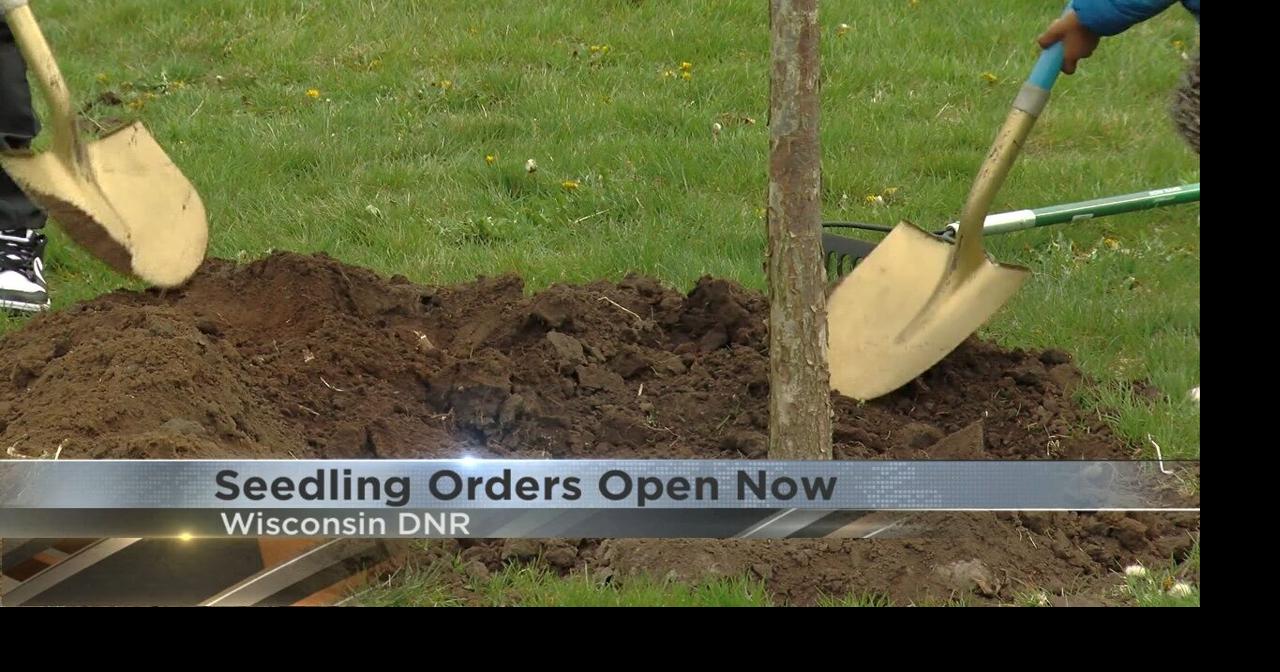 Seedling Orders Now Open | Video | waow.com
