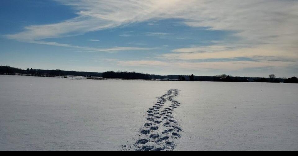 Small amounts of snow in the forecast | Weather | waow.com