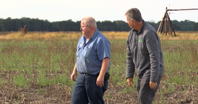 USDA Farm Projection Report shows farmers down 4.4% for this years ...