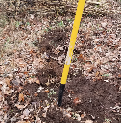 GARDEN GOODIES: Super Potatoes | Garden Goodies | waow.com