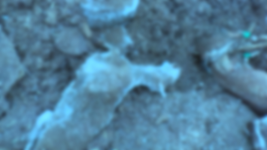 Man sentenced to prison after nearly 200 goats found starved to death ...