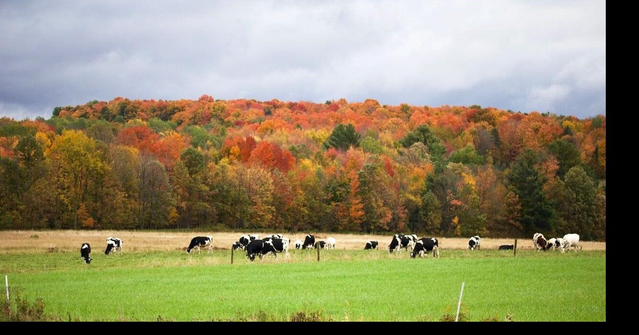 Rain and wind on the way | Weather | waow.com